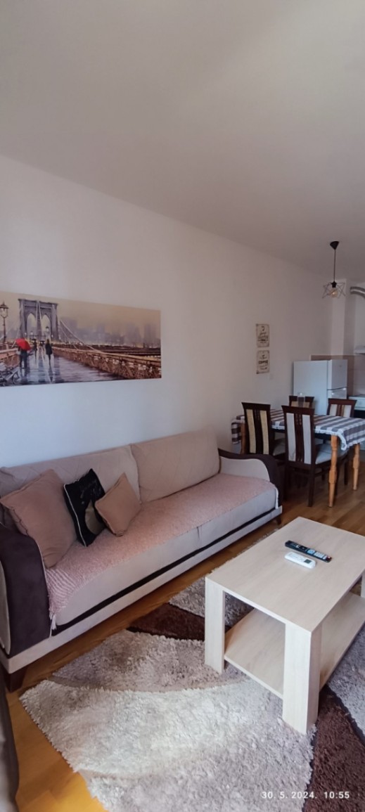 One Bedroom Apartment for Rent, 45m2, Tuški Put, Podgorica | Estitor