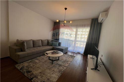 One Bedroom Apartment for Rent, 50m2, Master Kvart, Podgorica | Estitor